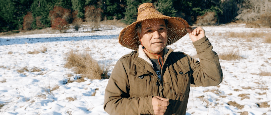 Connect with Nature, Here on Salt Spring Island : Episode 1 of ...