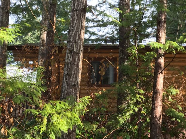 Celebrating #NaturallySaltSpring by Giving Away a Two-Night Stay at ...