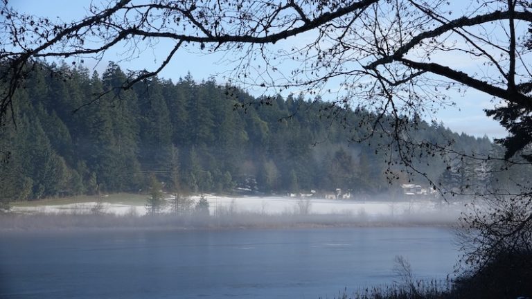 Celebrating #NaturallySaltSpring by Giving Away a Two-Night Stay at ...