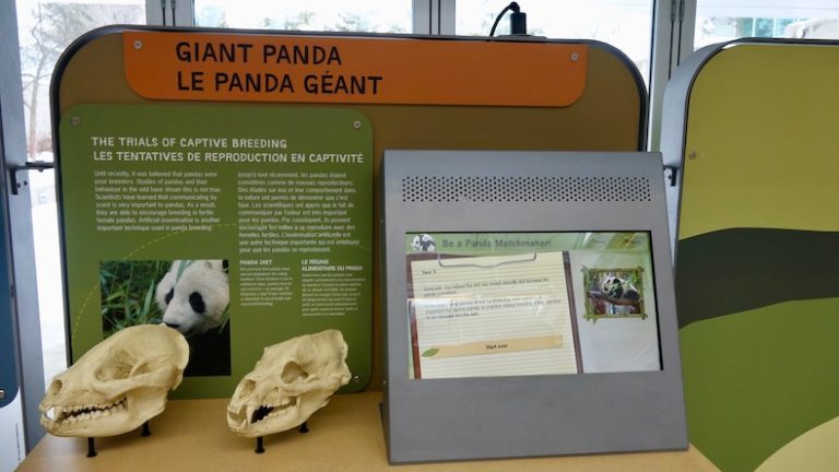 Wild for the Wildlife Rescue Exhibit at the Royal Botanical Gardens ...