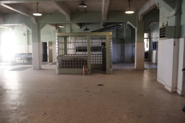 Journey to Alcatraz Island: A Walk Through History & Legacy