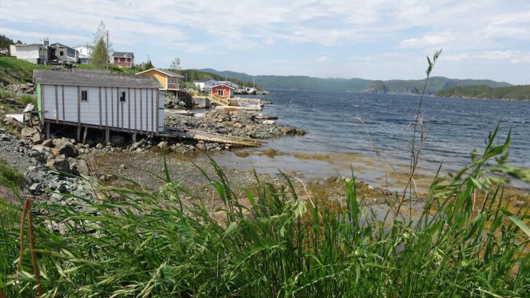 Spring Adventure in Triton & Brighton, Newfoundland
